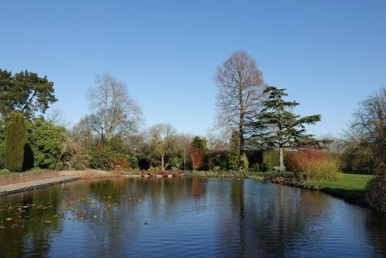 17 Best Things to do in Chelmsford
